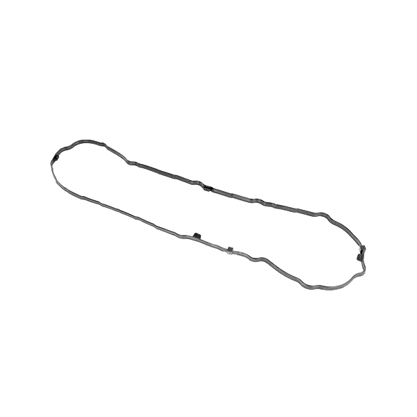 Jeep Gladiator JT 3,6 ltr. Valve Cover Gasket for the left Valve Cover 19-