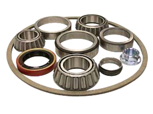 Jeep CJ Bearing & Seal Kit Rear Axle AMC Dana 20 76-86